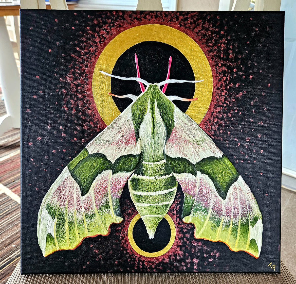 Moth Magic – Snow & Swirl Artistry